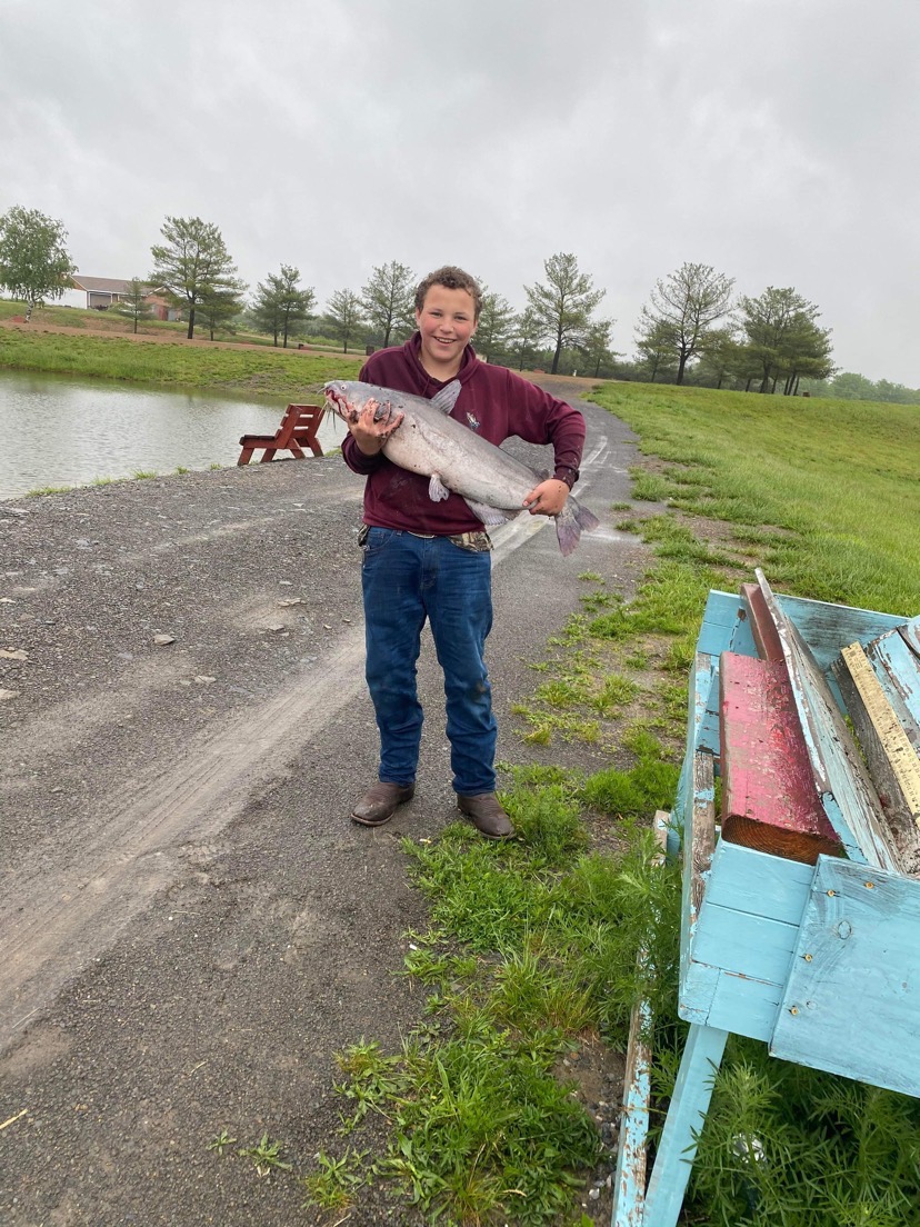 A catfish tale - LocalNews1.org