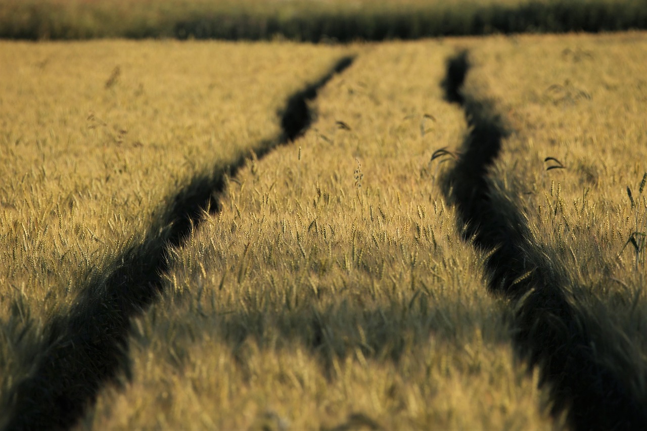 Farmers eligible for aid under USDA declaration - LocalNews1.org
