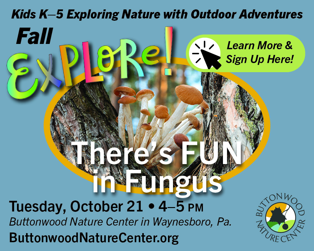 USDA releases 2025-26 school meal eligibility guidelines - LocalNews1.org